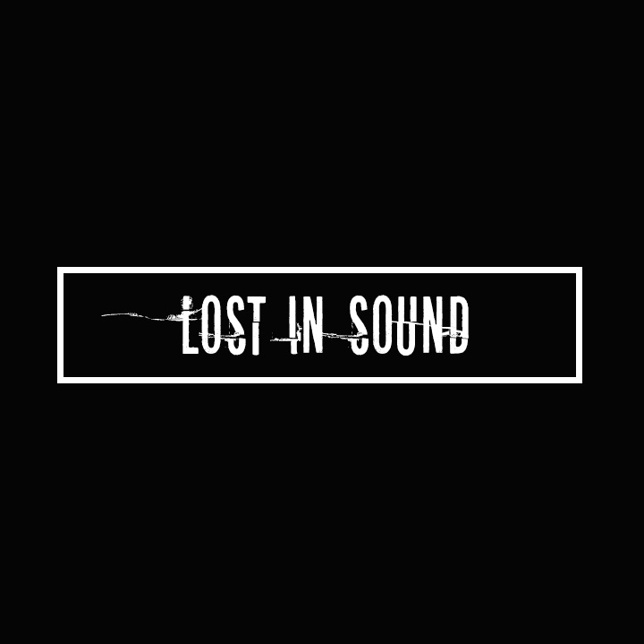 When We Dip | Lost In Sound organize an Australia Wildfire Fundraiser ...